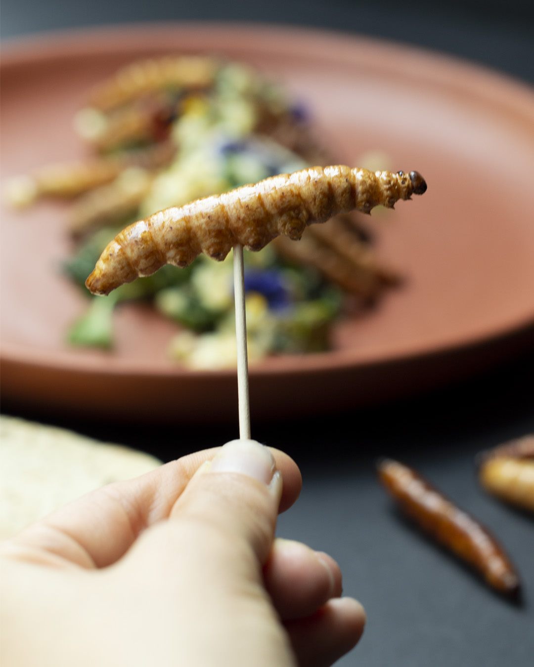 Corazón de Maguey: escamoles, mezcal y más manjares - Gordoteca